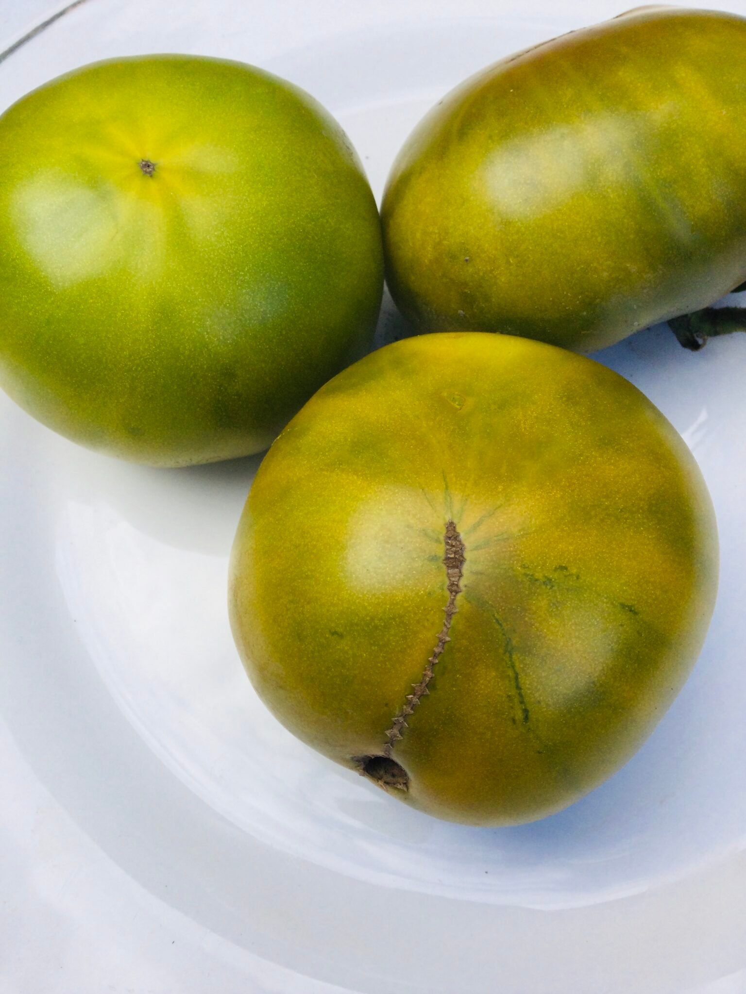 Irish Liquor Tomato Seeds - Heritage Hobby Seed Ark